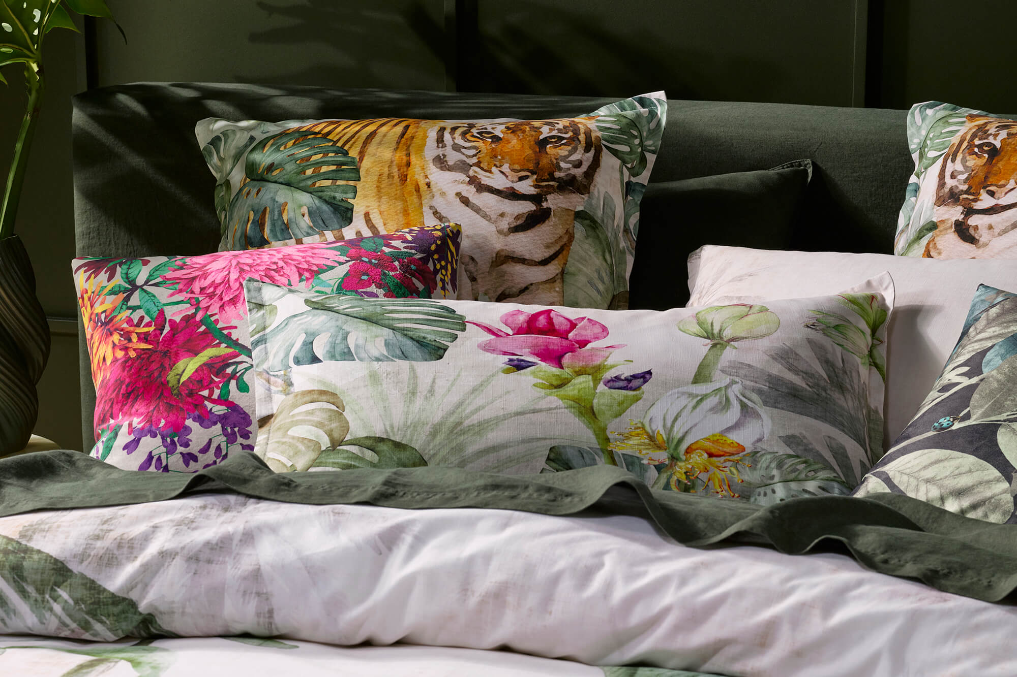 Where our Signature Series Begins – Luxotic Australia